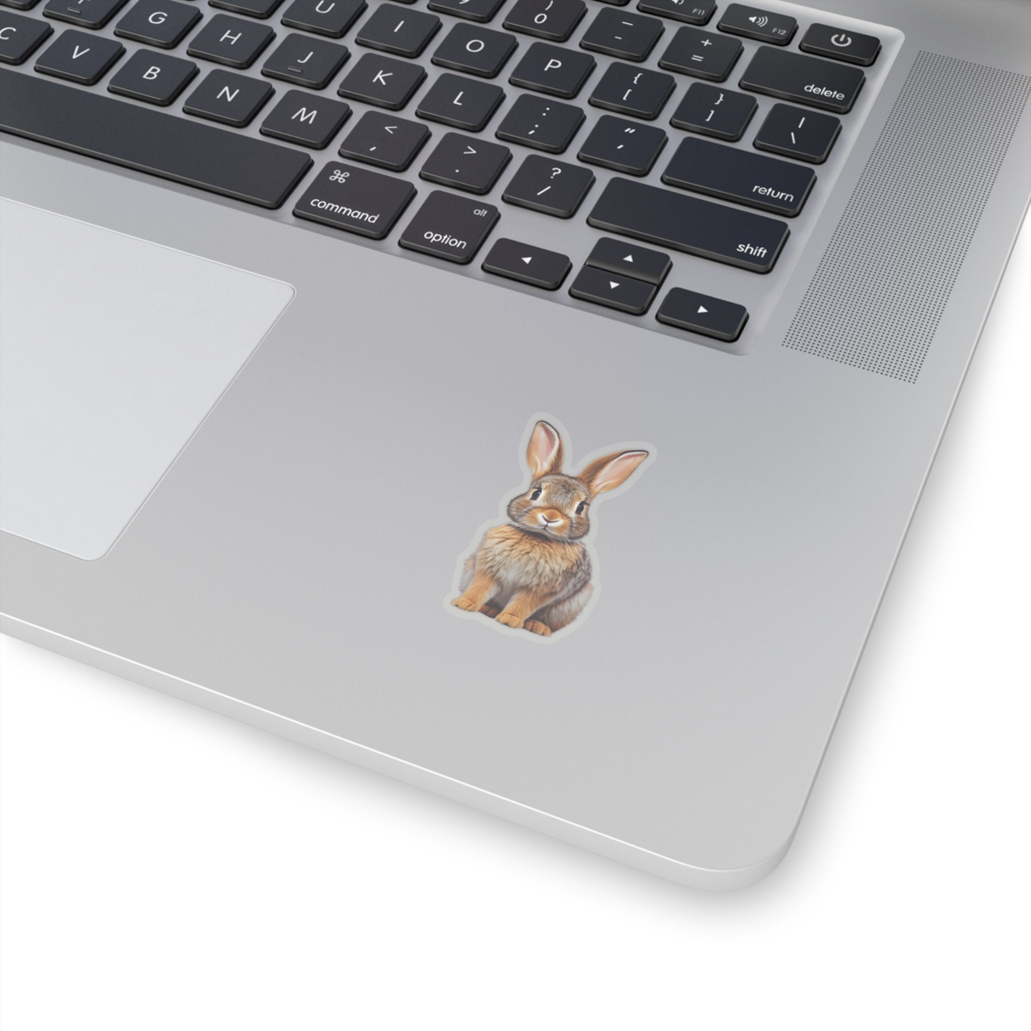 Adorable Realistic Bunny Sticker, Realistic Rabbit Decal, Rustic Rabbit ...