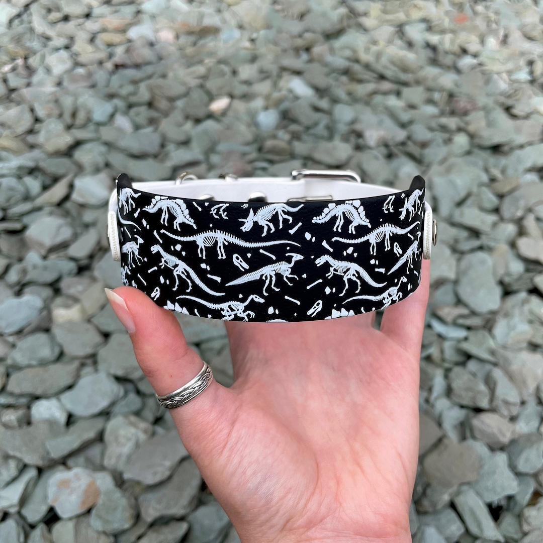 Dino Bones Biothane fishtail Collar // Choose Your Colour, Patterned ...