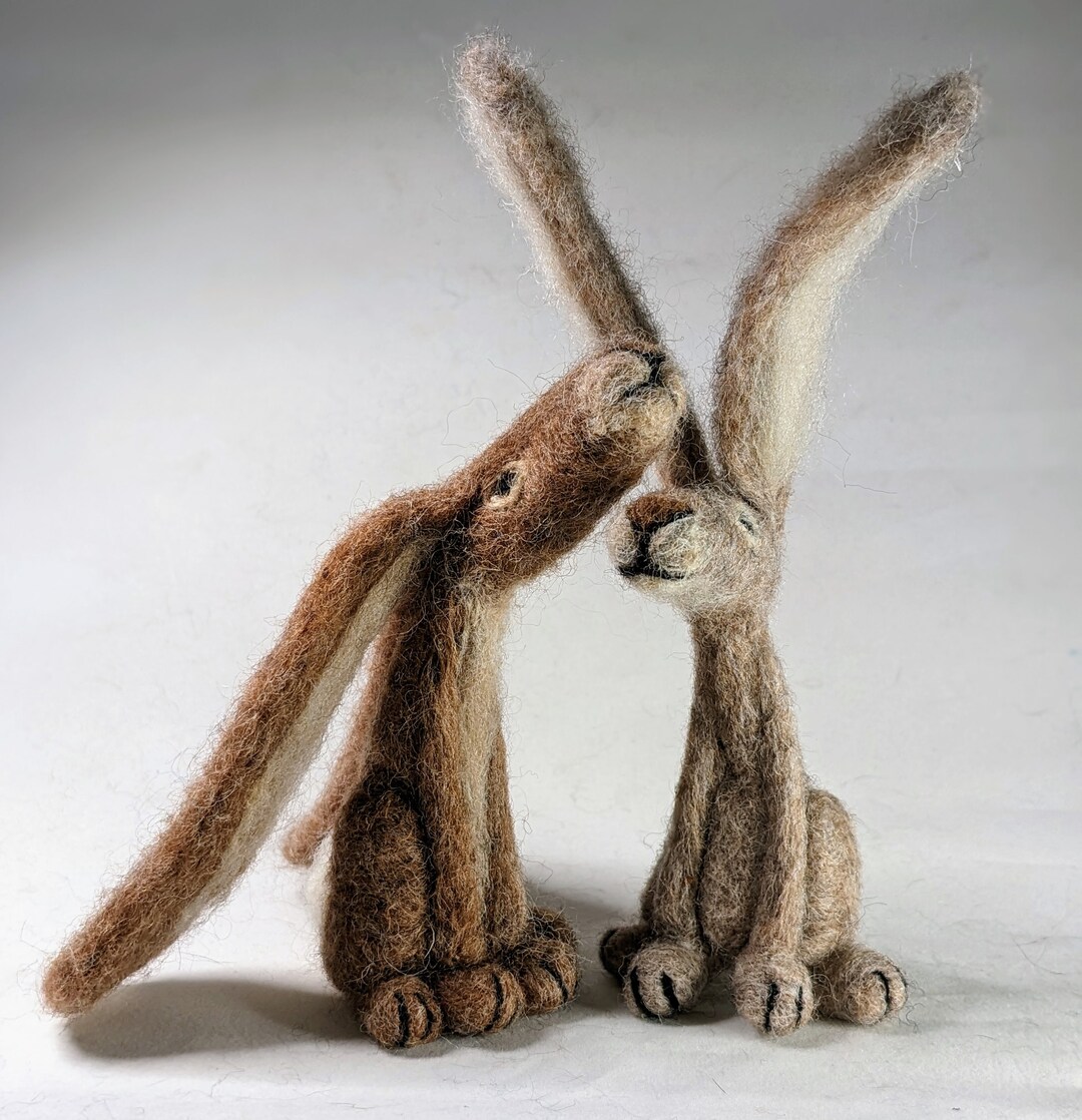 Instructions to Make a Needle Felted Hare. - Etsy