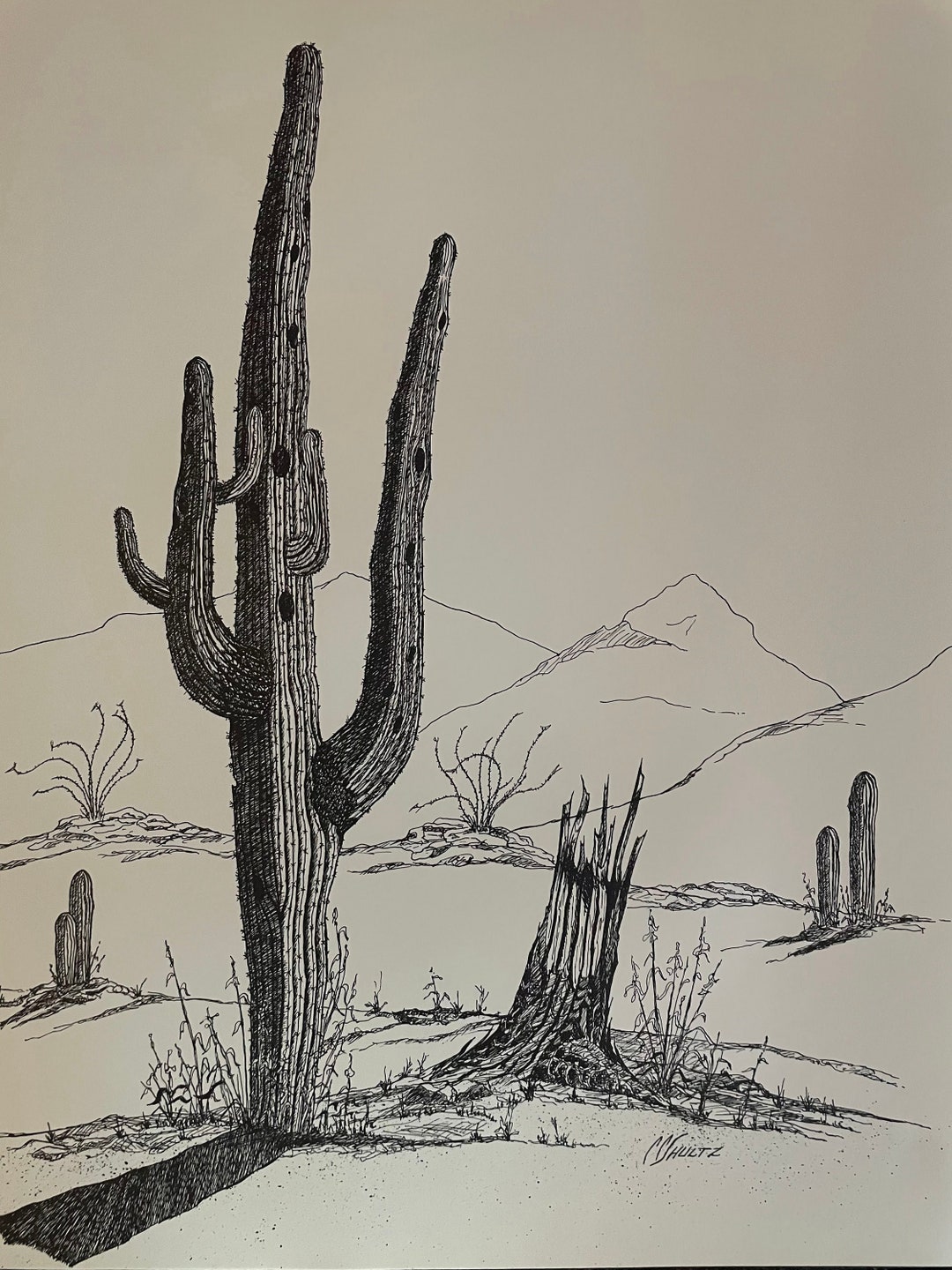 Original Desert Cactus Ink Sketch Art Print - Etsy