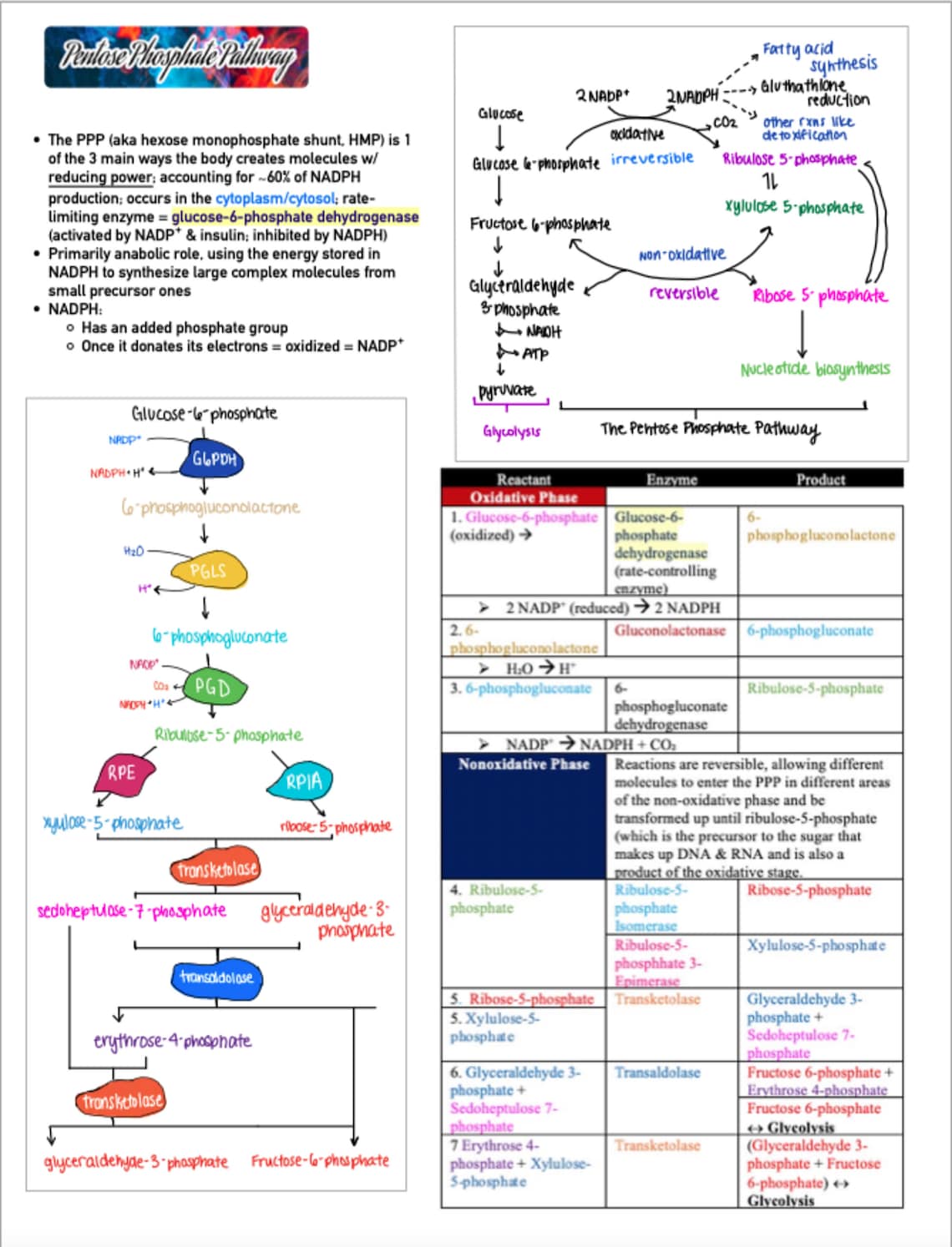 2023 Comprehensive MCAT Study Guide - Etsy