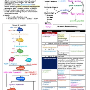 2023 Comprehensive MCAT Study Guide - Etsy