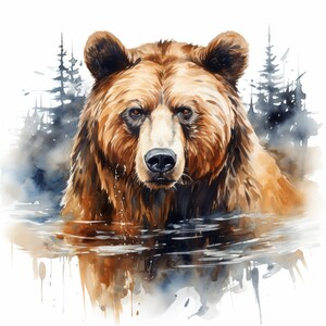 Spirit Animal Guide Drawing and Reading, Soul Animal Guide, Animal ...