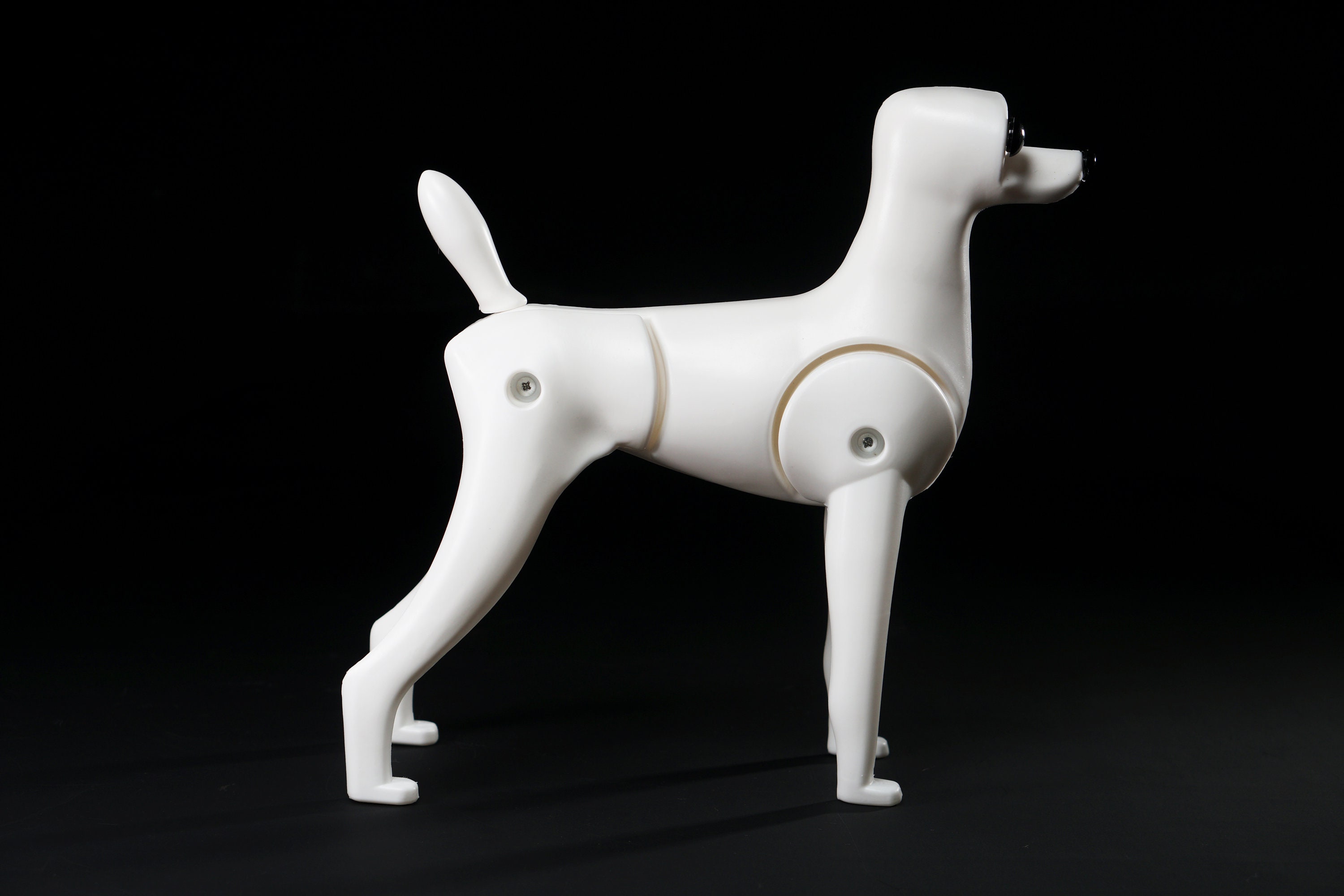 Teddy Model Dog Mannequin Body Scissoring Practice Dummy for Schools or ...