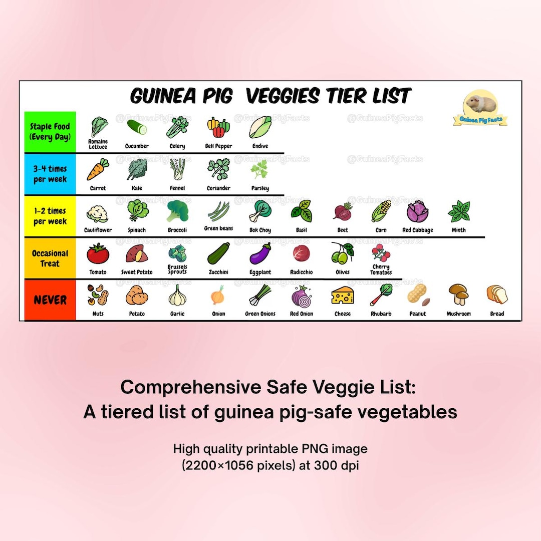 Guinea Pig Vegetable Chart Printable | Safe Veggies Tier List | Meal ...