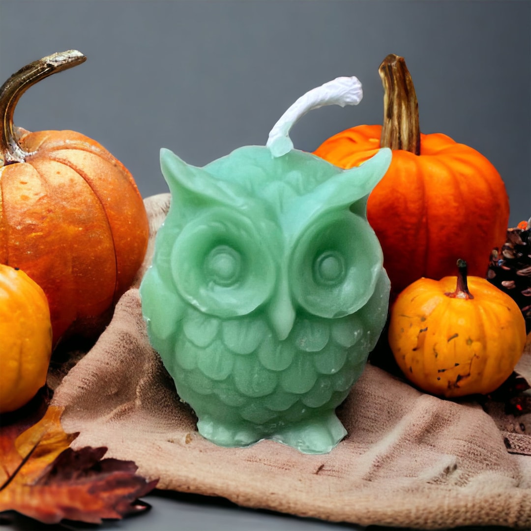 Owl / Owl Candle / Owls / Owl Gift / Owl Decor / Halloween - Etsy