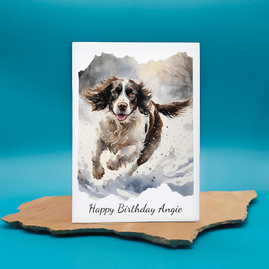 Springer Spaniel Birthday Card / Good Luck Crufts / Fun Springer Card ...
