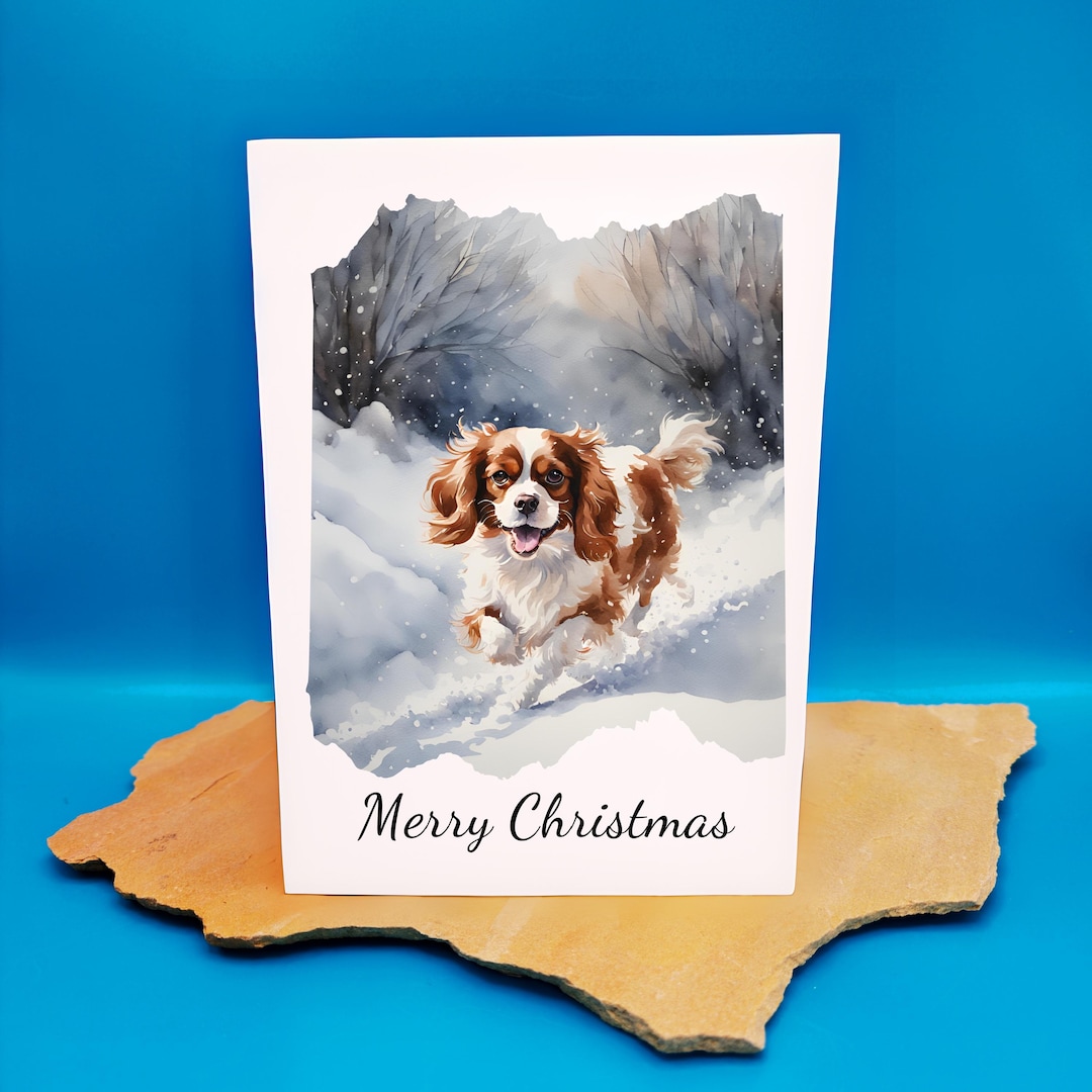 Cavalier King Charles Spaniel Christmas Card, Various Cavalier Spaniel ...