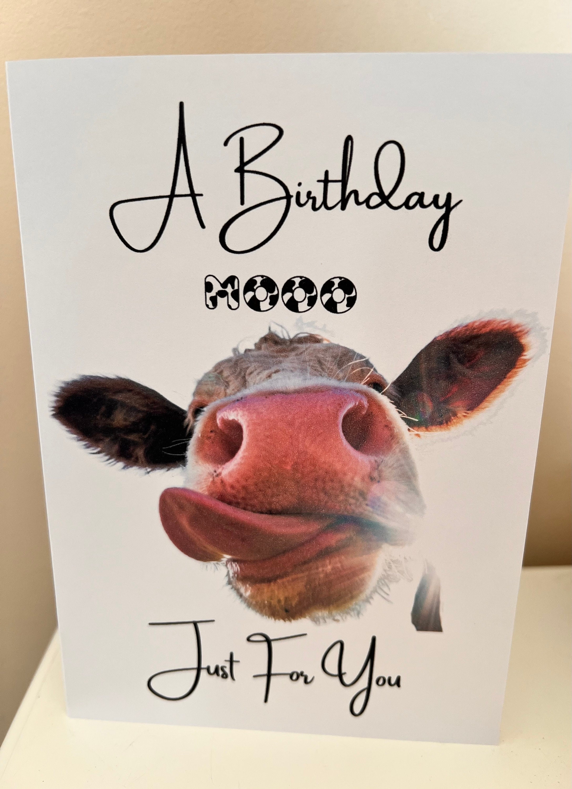 Funny Cow Birthday Card Funny Cow Close up Card Rude Cow - Etsy