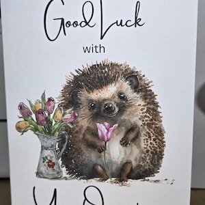Good Luck With Your Operation Card - Cute Hedgehog Surgery/operation ...