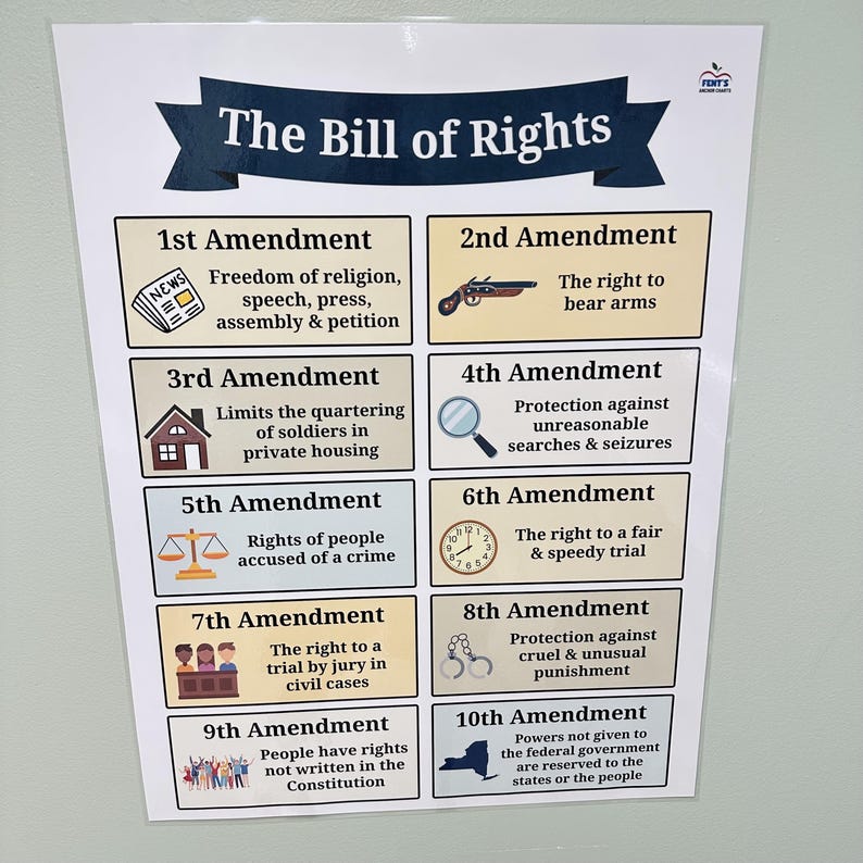Bill of Rights Anchor Chart | High School Civics Classroom Poster | 10 ...