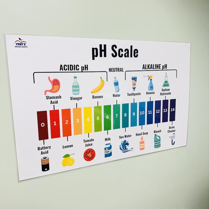 Ph Scale Chart | Acid Alkaline Poster | Laminated Science Classroom ...