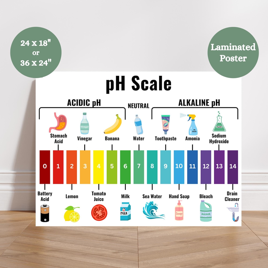Ph Scale Anchor Chart, Acid Alkaline Ph Poster, Chemistry Classroom Anchor Chart, Acidic Basic ...