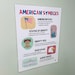 United States Symbols Anchor Chart, Elementary Civics Poster ...