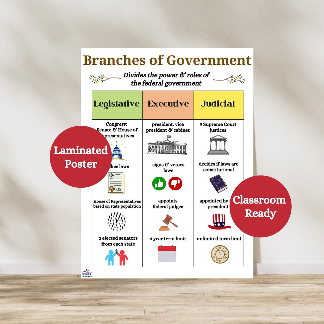 Branches of Government Laminated Anchor Chart | History Classroom ...