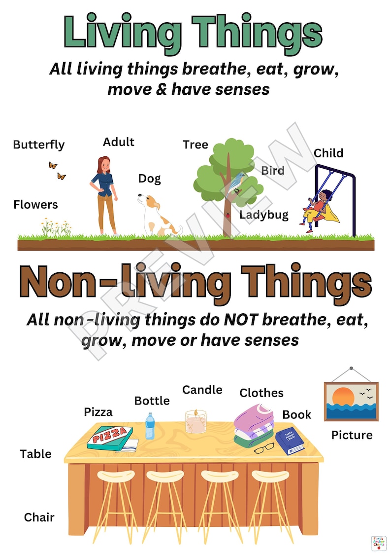 Living Vs. Non Living Anchor Chart, Living Things Anchor Chart, Life ...