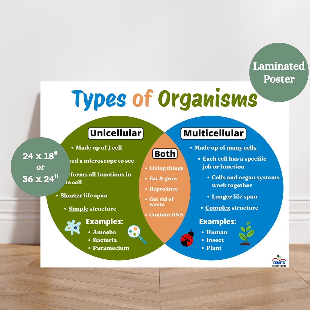 Types of Organisms Anchor Chart, Unicellular Vs Multicellular Science ...
