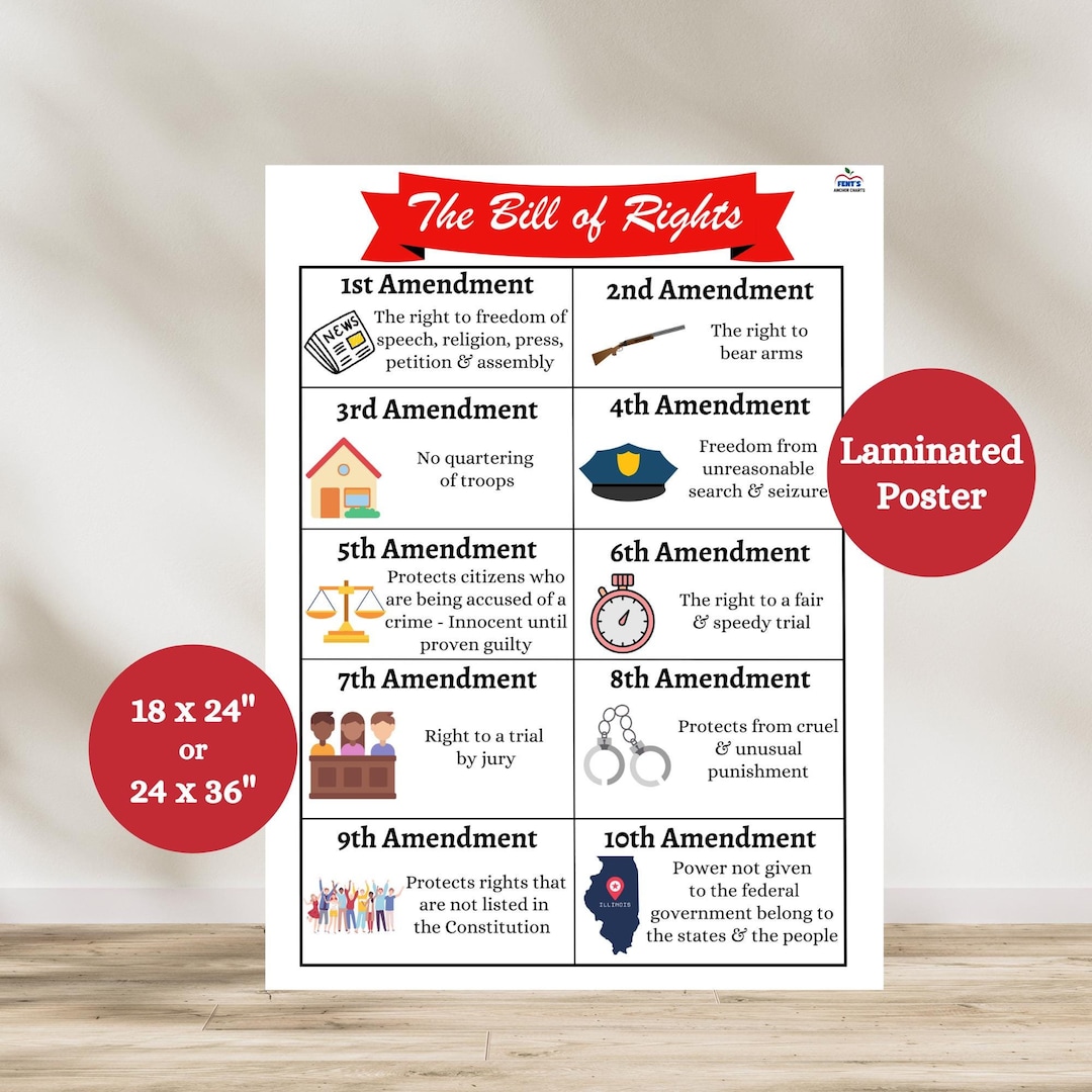 Bill of Rights Anchor Chart, 10 Amendments Poster, US Constitution Poster, History Classroom ...