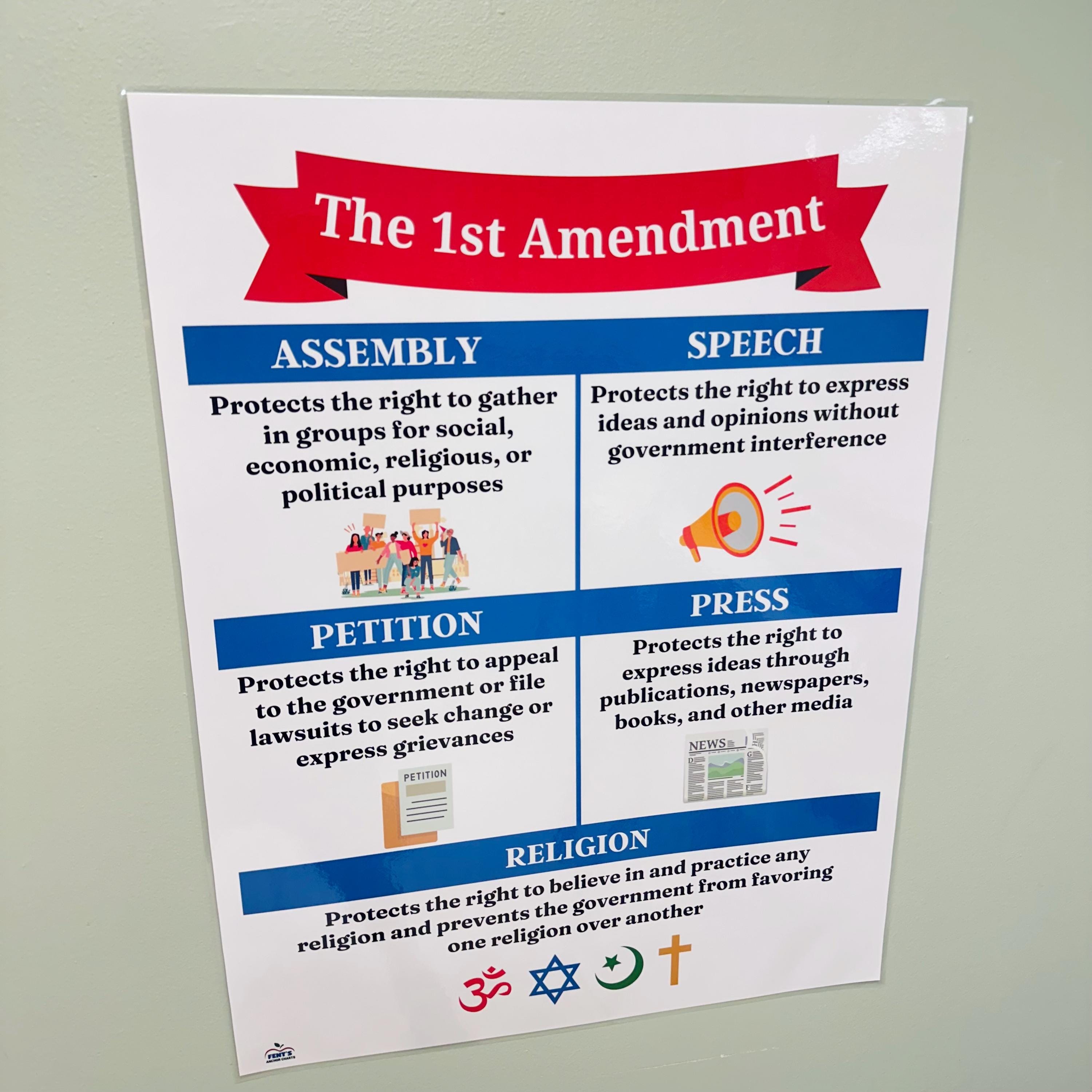 First Amendment Laminated Poster | Bill of Rights Anchor Chart - Etsy