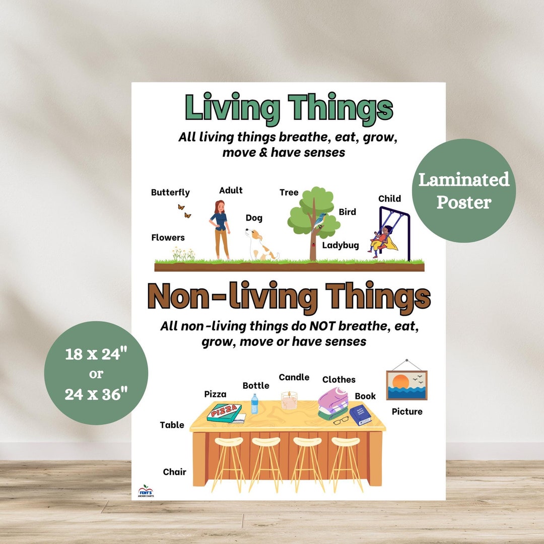 Living Vs. Non Living Anchor Chart, Living Things Anchor Chart, Anchor ...