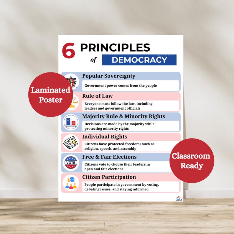 Principles of Democracy Laminated Anchor Chart | Civics Poster for ...