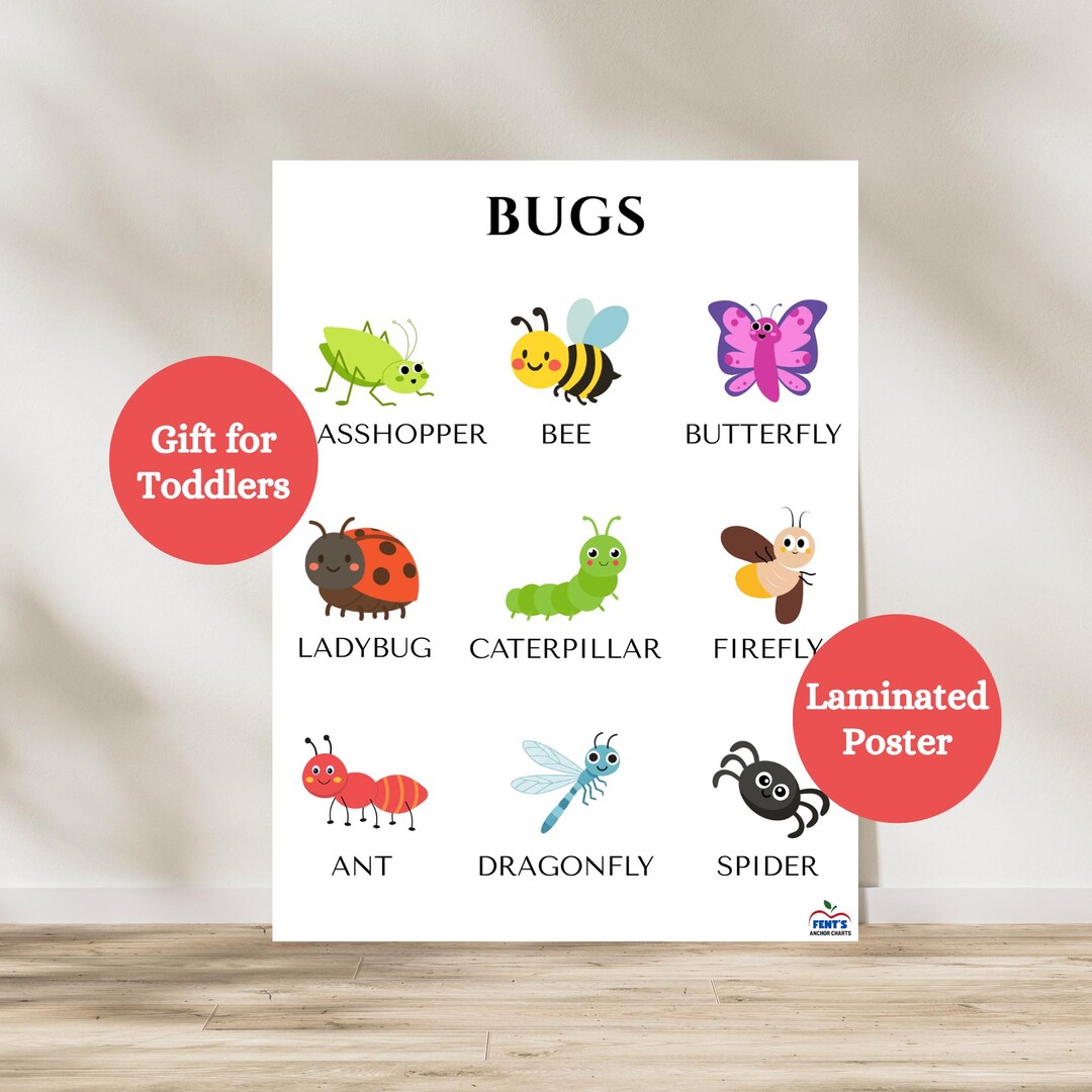 Bugs Poster for Kids | Insect Classroom & Toddler Wall Decor ...