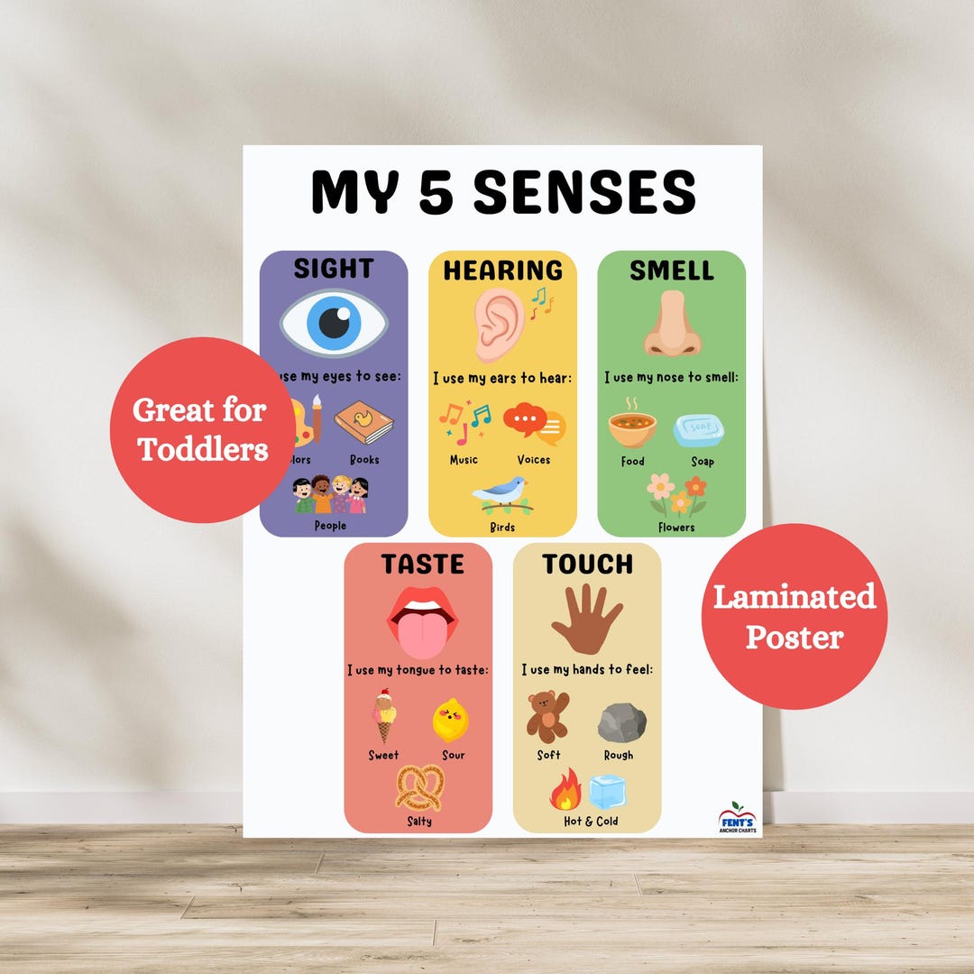 Five Senses Poster | Laminated Preschool Anchor Chart | Toddler ...