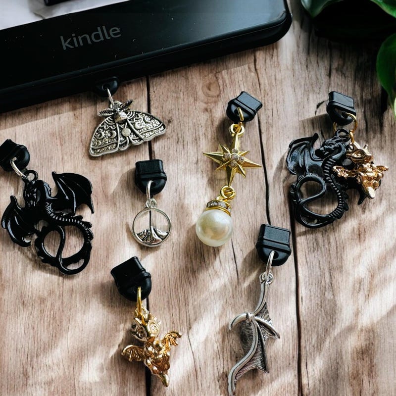 Dust Plug E Reader - Etsy