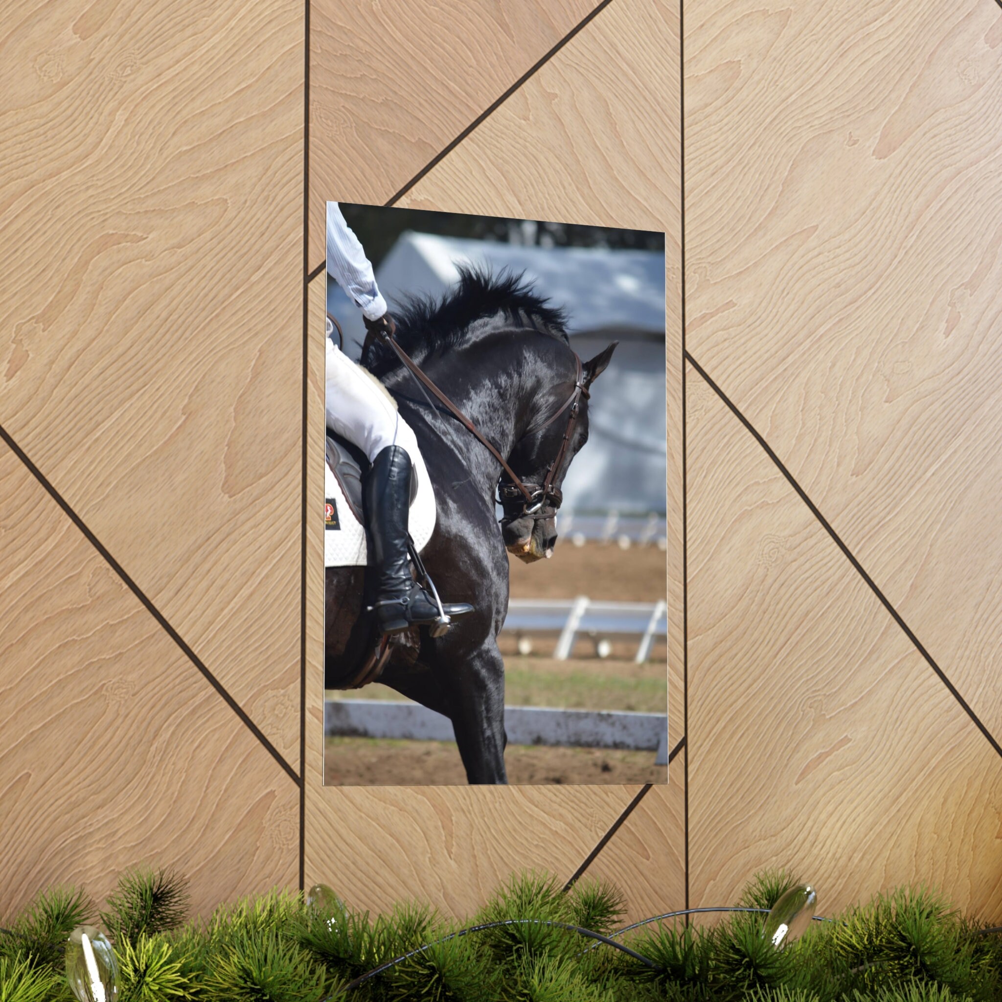 Black Dressage Horse Premium Matte Vertical Poster - Etsy