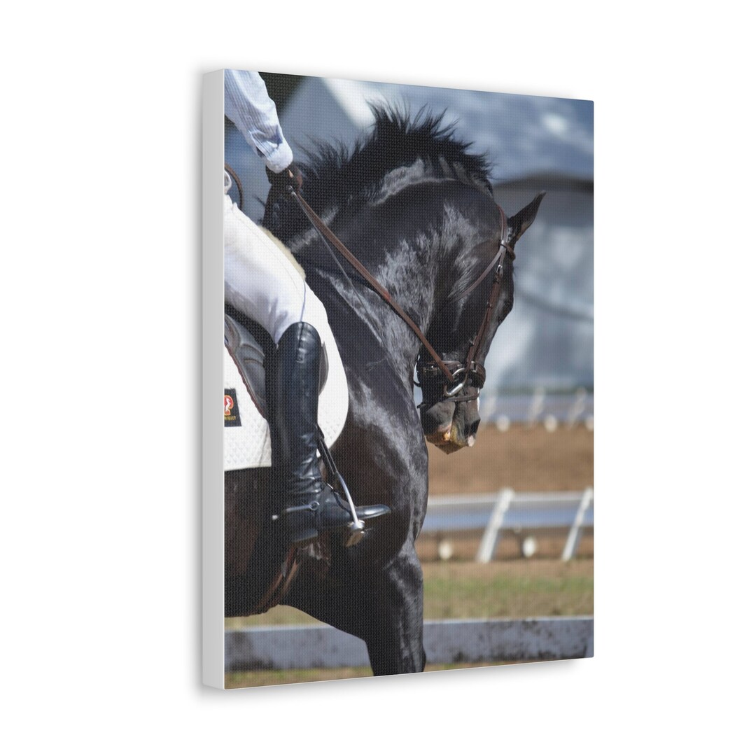 Black Dressage Horse Canvas Gallery Wraps - Etsy