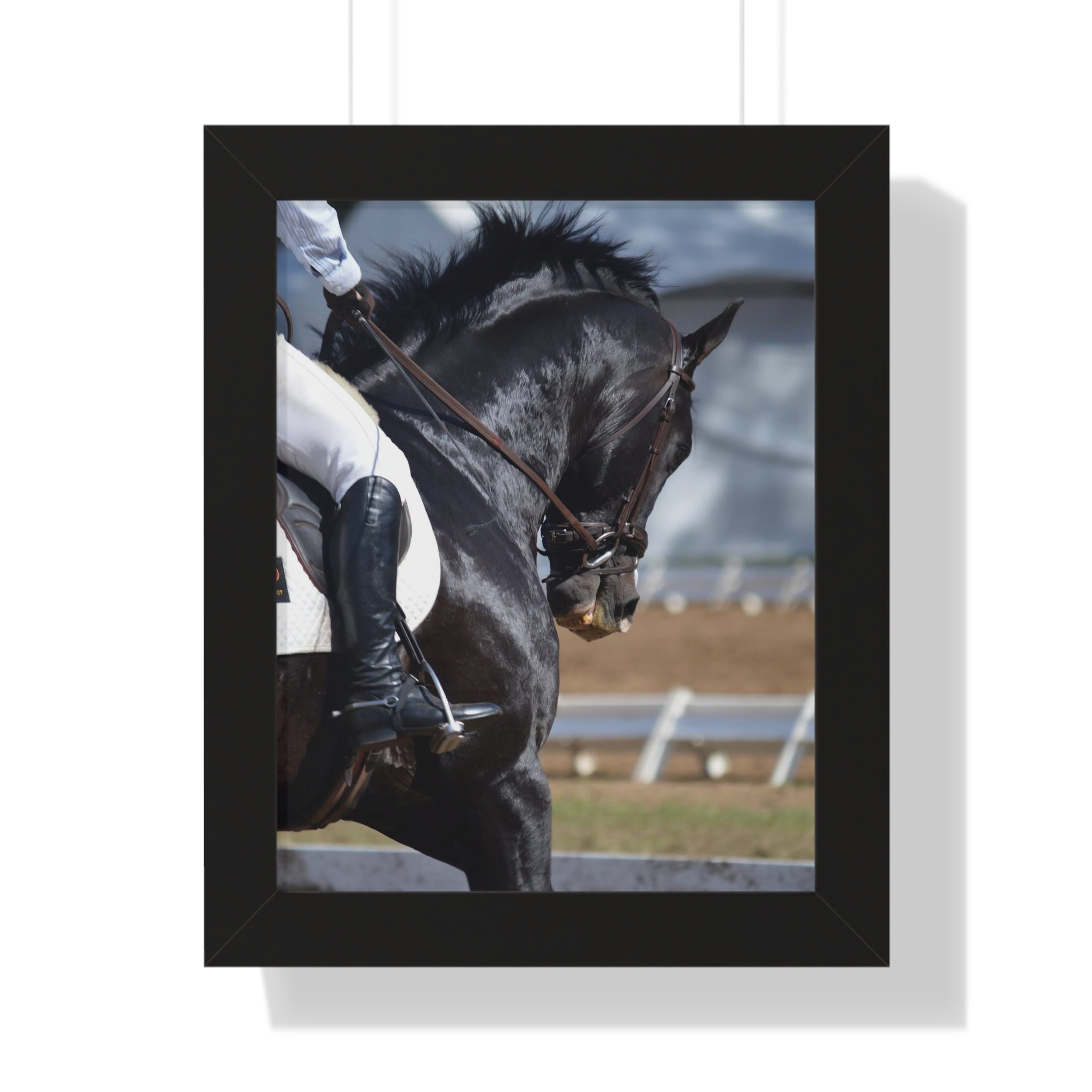 Black Dressage Horse Framed Vertical Poster - Etsy