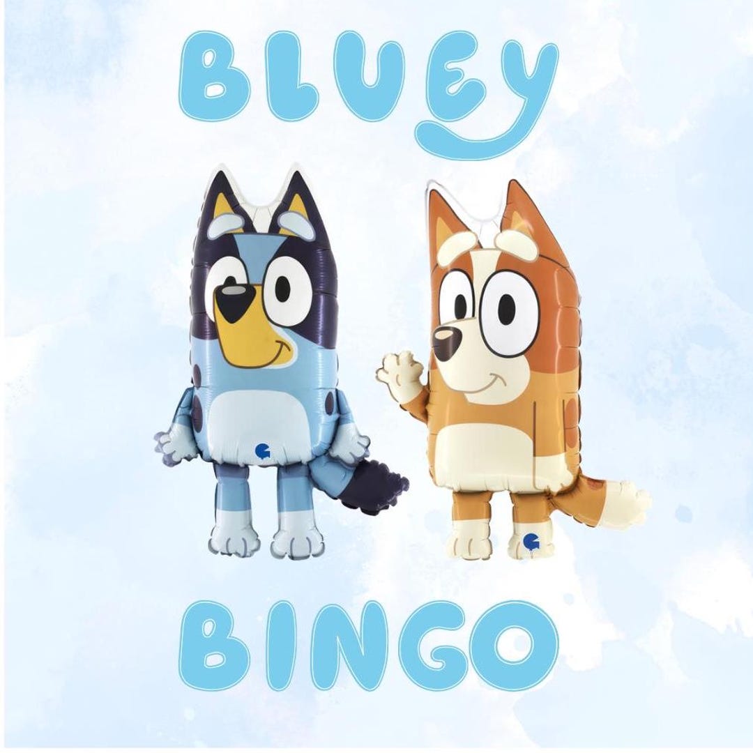 Bluey & Bingo Balloons With Personalisation - Etsy
