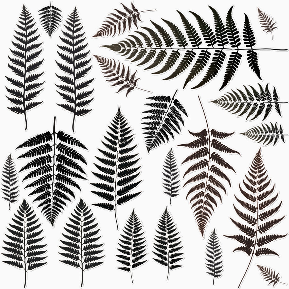 22x Dark Fern Temporary Tattoos Sheet Nature & Elf-inspired Body Art ...