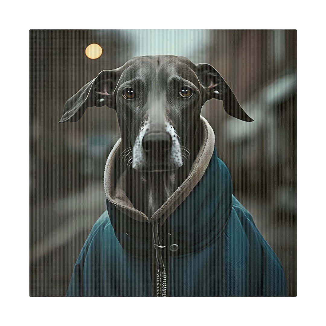 Greyhound Dog Wearing a Coat in the City AI Generated Art - Stretched ...