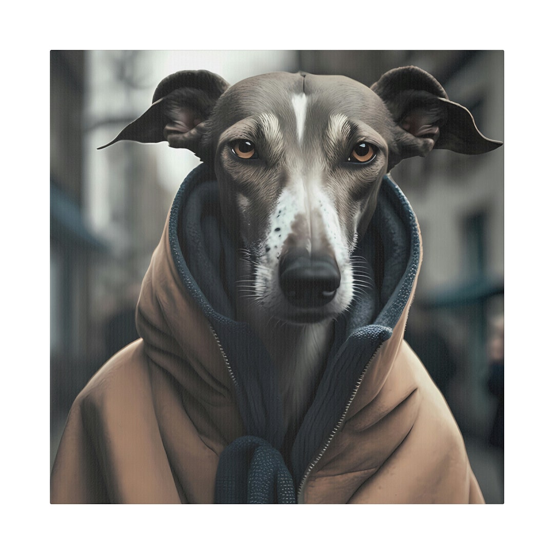Greyhound Dog Wearing a Coat in the City AI Generated Art Stretched ...
