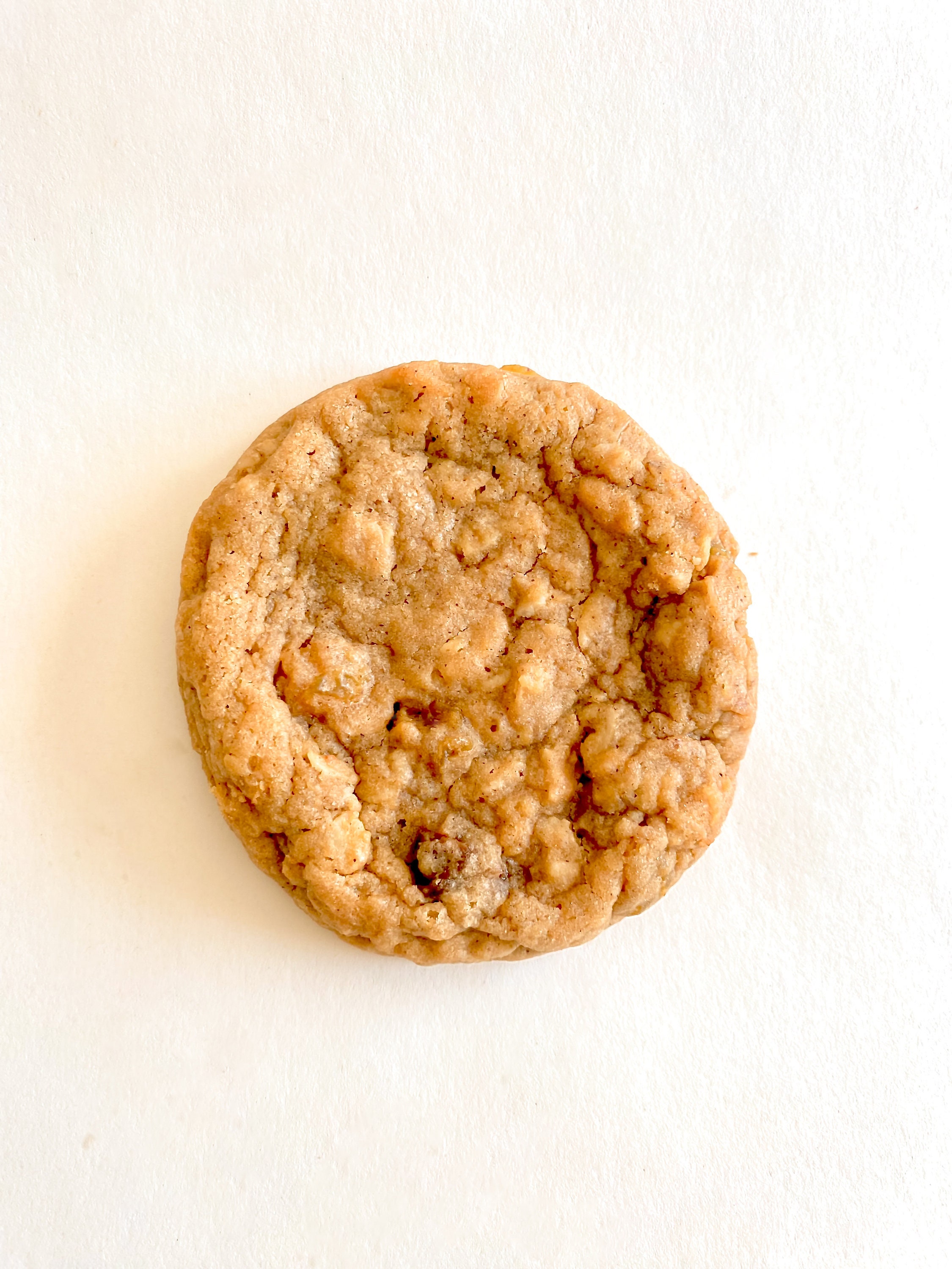 A Half Dozen LARGE Golden Oatmeal Raisin Cookies Homemade - Etsy