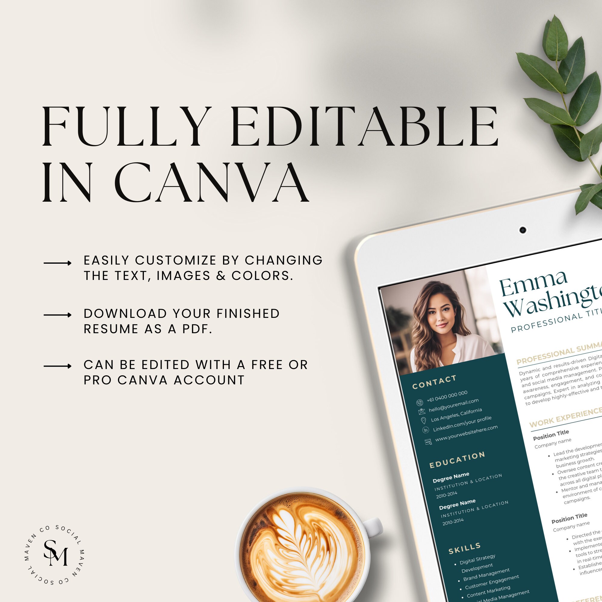 CV Template, Editable in Canva, 1 Page CV Canva, Teal, Professional ...