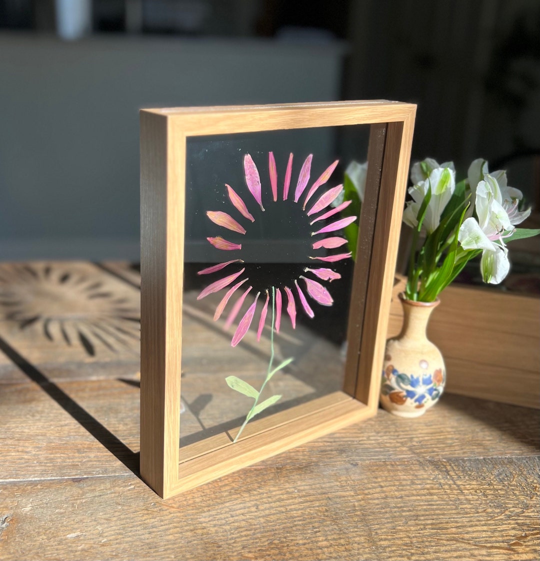 Pressed Flower Frame Deconstructed Daisy, Floating Glass Frame, Real ...