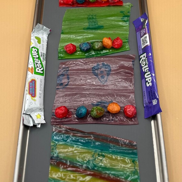 Freeze Dried Fruit Roll Ups - Etsy
