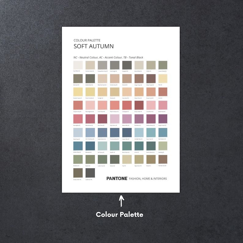 TEMPLATE, All 12 Color Seasons, Sub-seasons, Tool for Stylists, Image ...