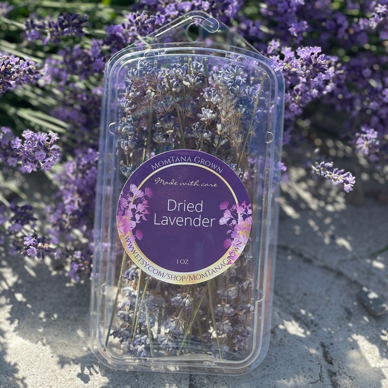 Lavender Sprigs - Etsy