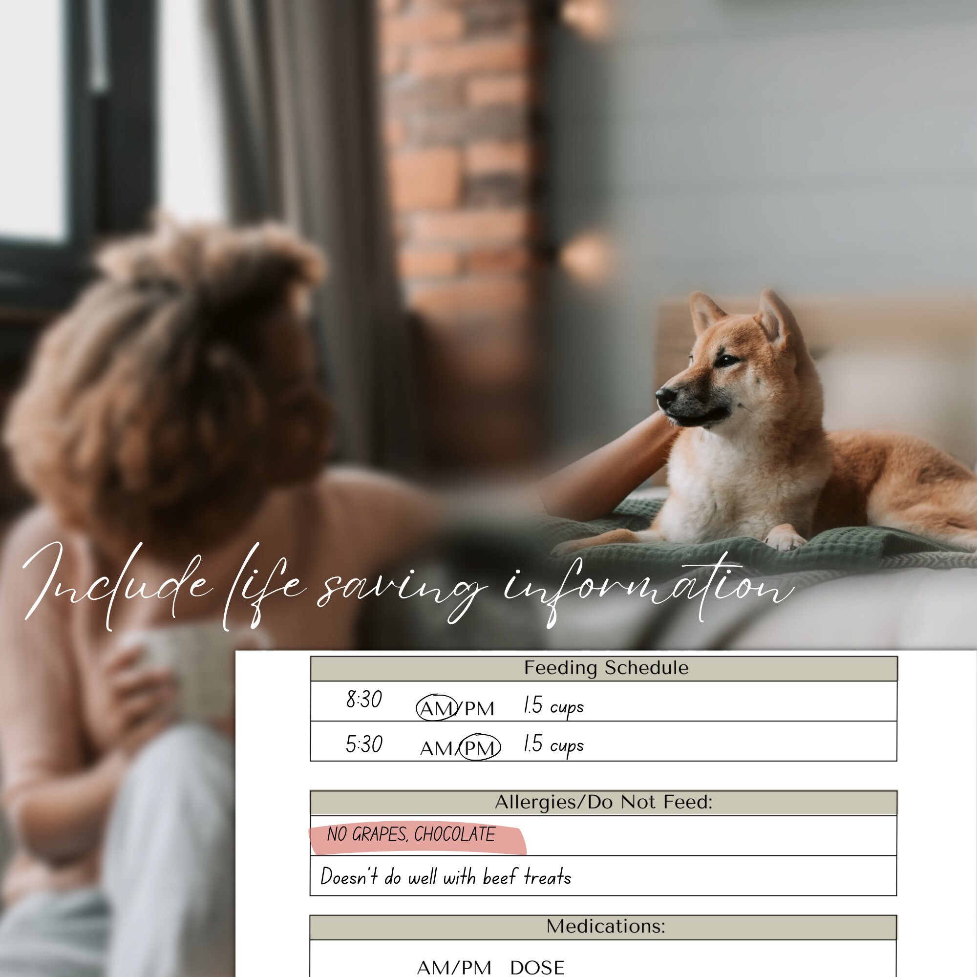 Digital Download Pet Drop off Sheet Important Pet Information Pet ...