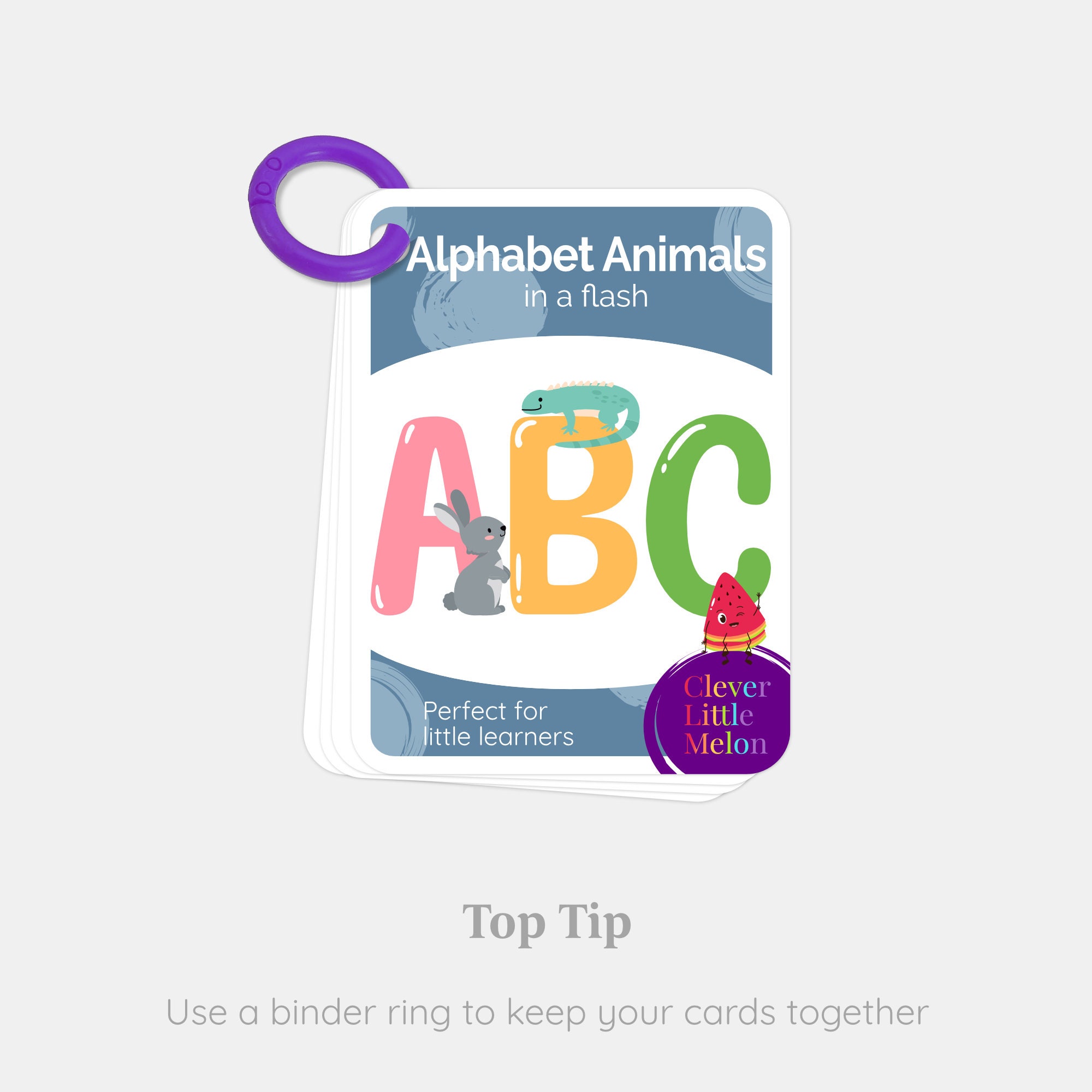 Printable Kids Flashcards Animal Alphabet Educational - Etsy