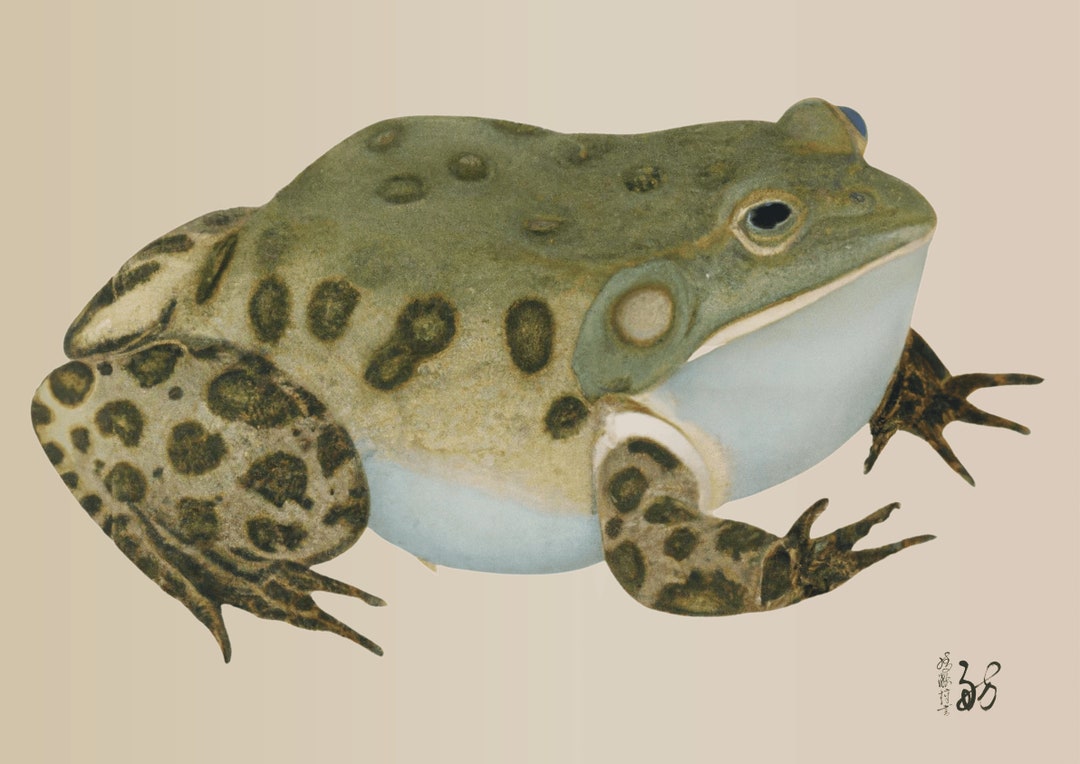 Japan Art Frog Ukiyo-e Frog Art Print Japanese Watercolor Original Art ...
