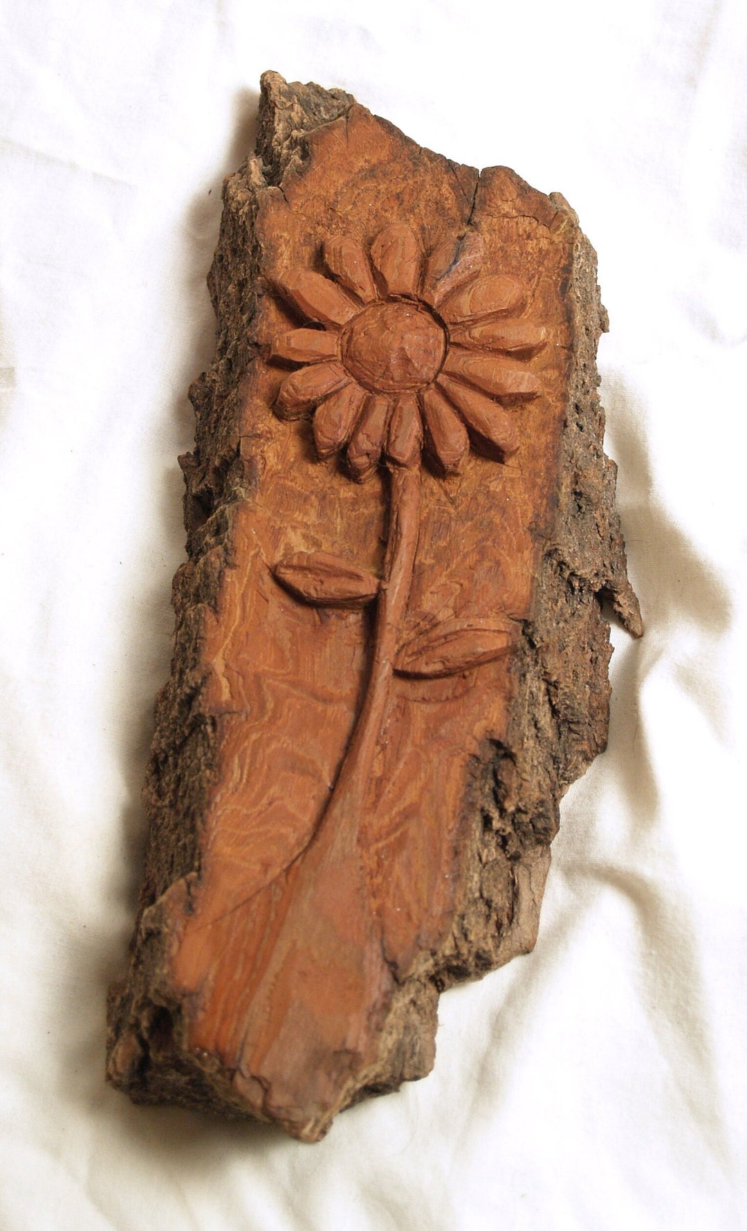 Hand Made Daisy Bark Carving - Etsy