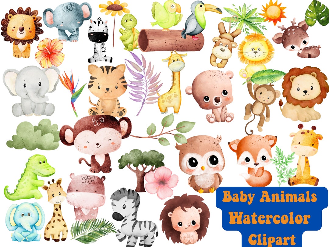 Animal Clipart Bundle,safari Baby Animals Clipart,cute Baby Shower ...