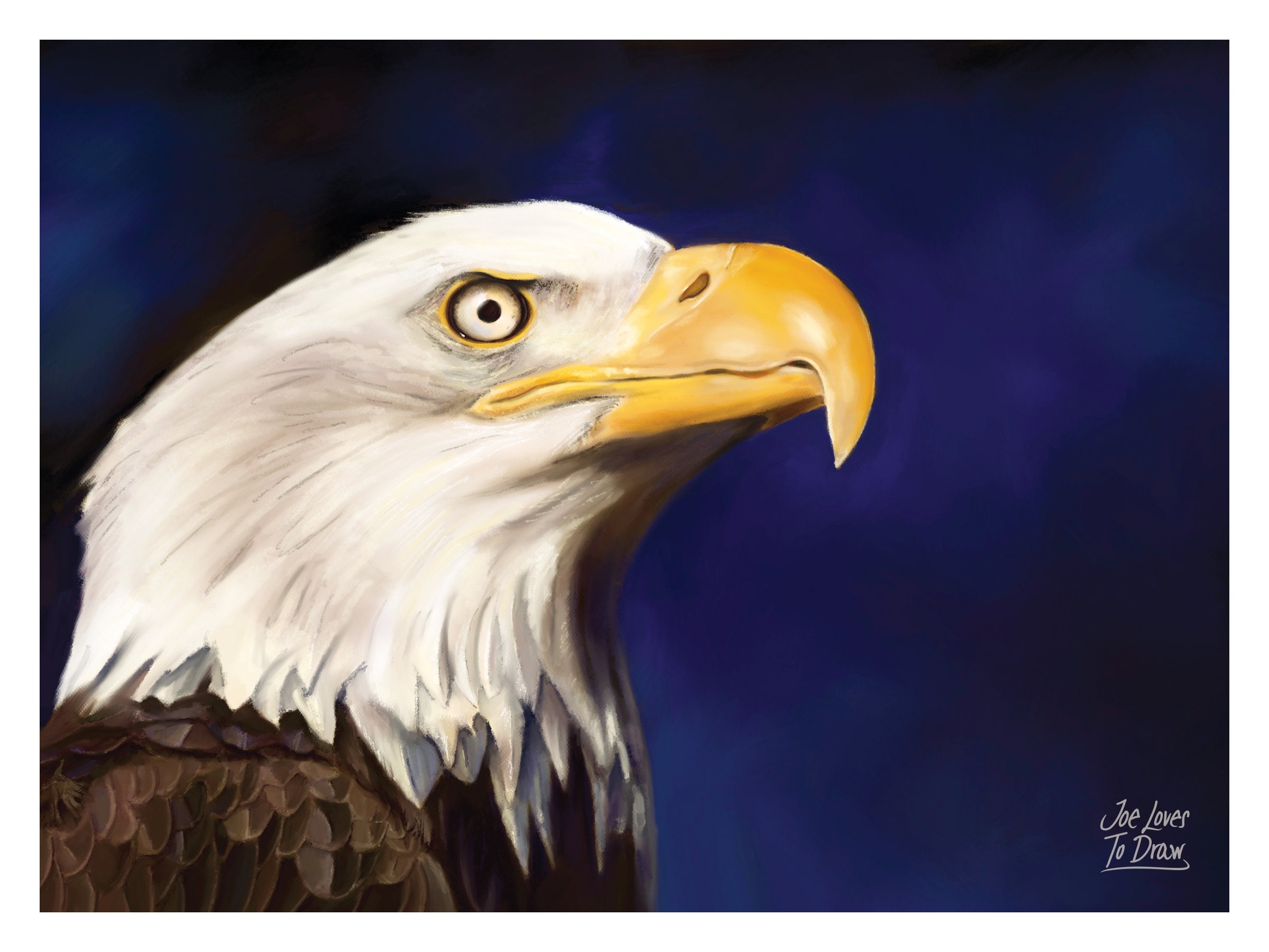 Art Print: Bald Eagle Digital Painting - Etsy