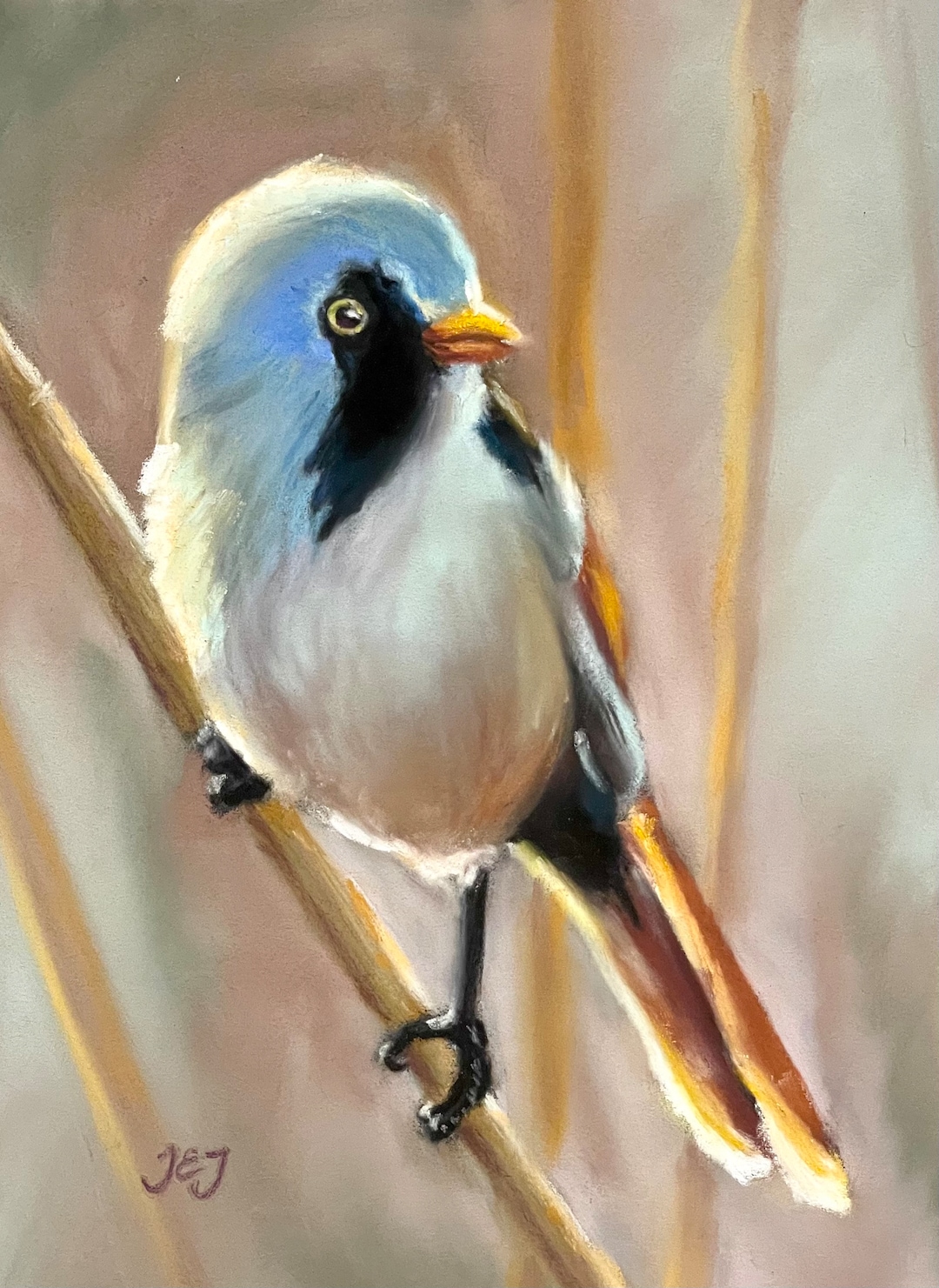 Original Pastel Painting: Bearded Reedling - Etsy