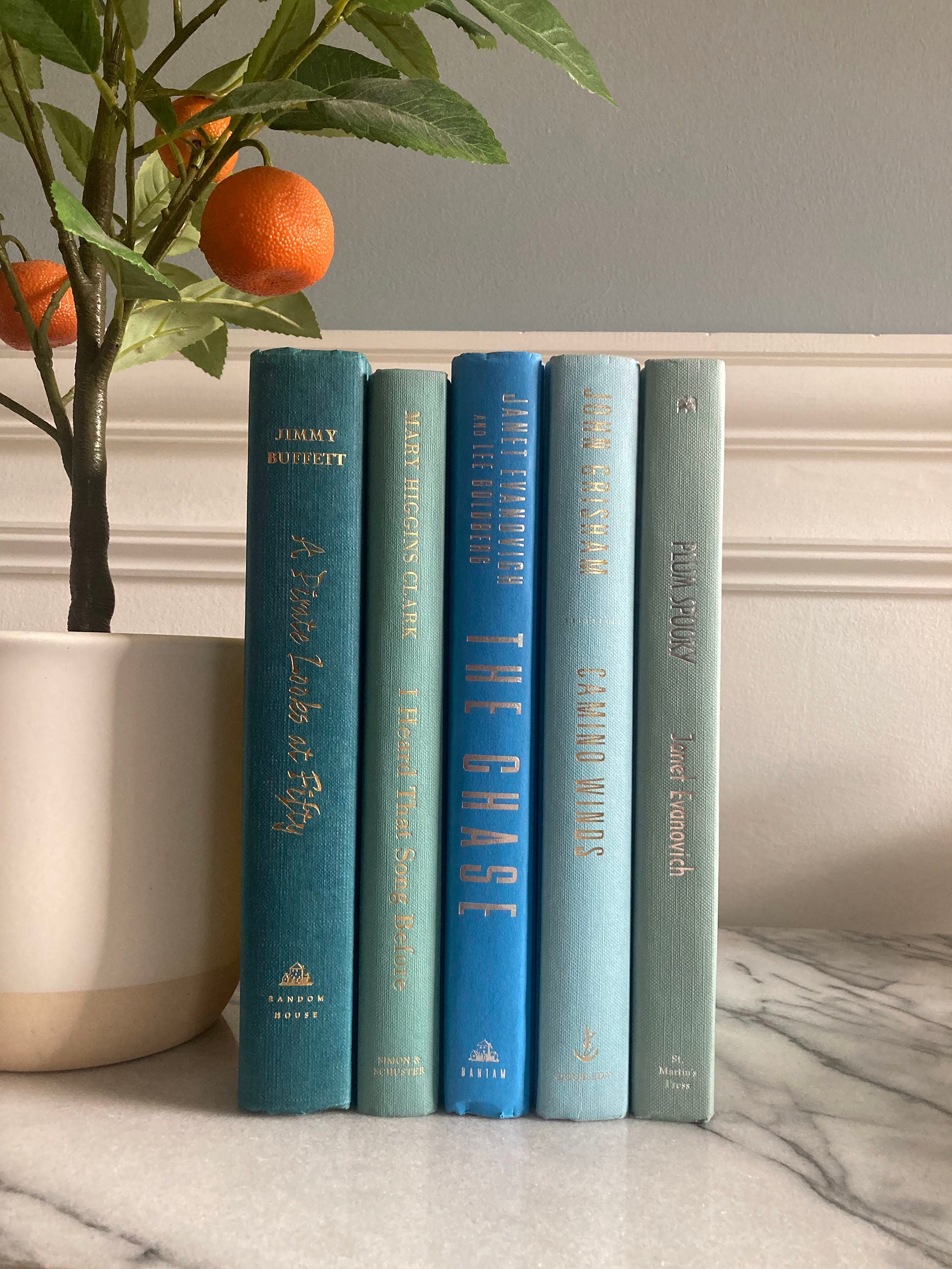 Monochromatic Blue Decorative Book Set Stack Shelf Decor - Etsy
