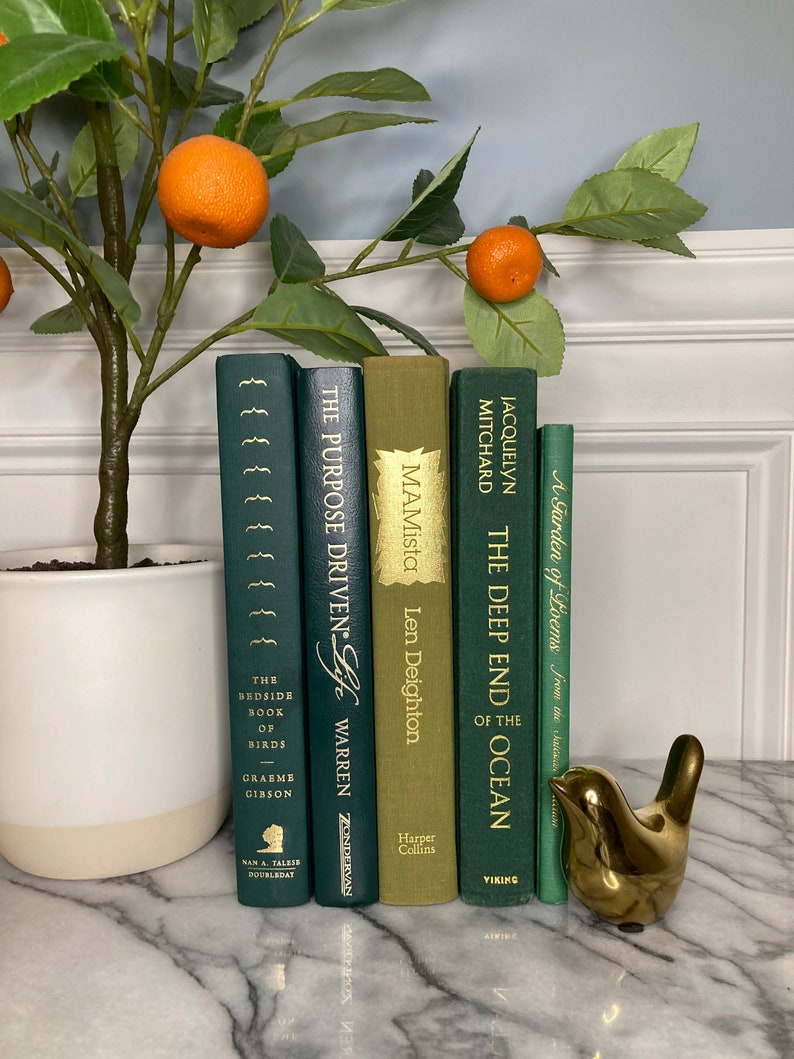 Monochromatic Green Decorative Book Set Stack Shelf Decor - Etsy